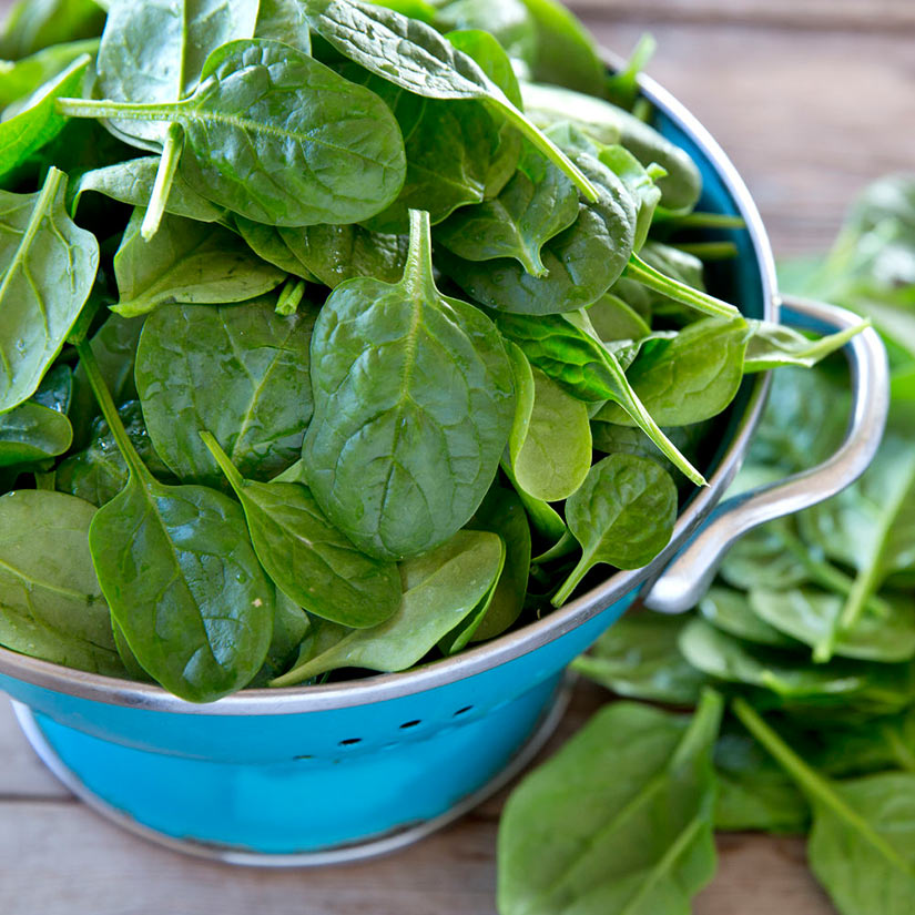 5 najbolj zdravih vrst temno listnate zelene zelenjave