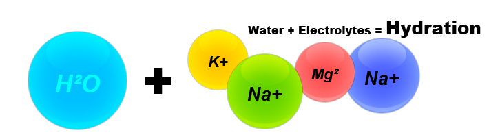 Zakaj so elektroliti tako pomembni pri športni aktivnosti?